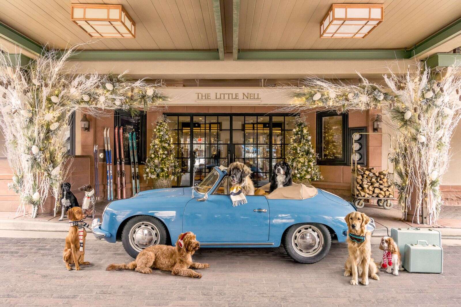 Gray Malin and the dogs of Aspen | AspenTimes.com